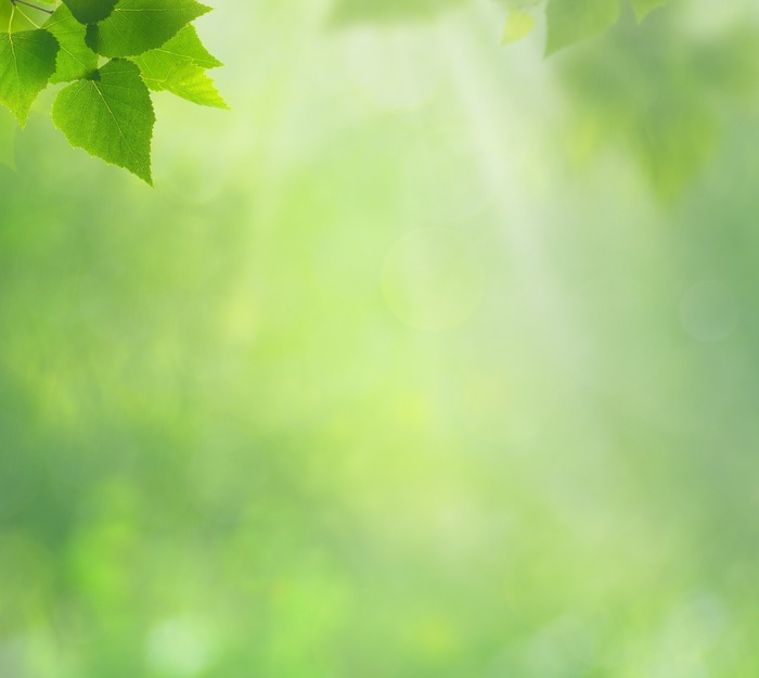 Advanced Algebra & Geometry 2 Chapter 8 :: Chiangmath