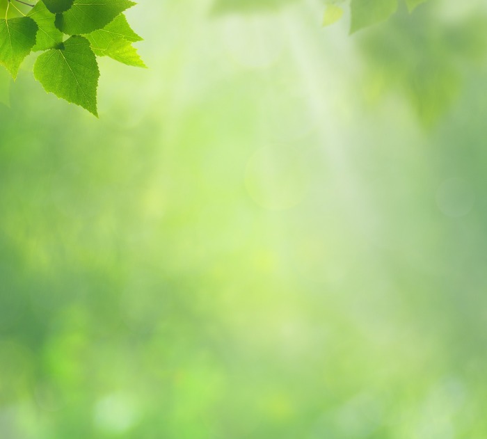 Algebra 2 chapter 7 :: Chiangmath