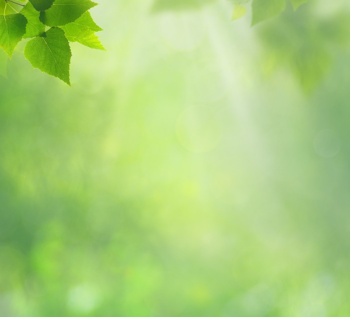 Algebra 2 chapter 8 :: Chiangmath